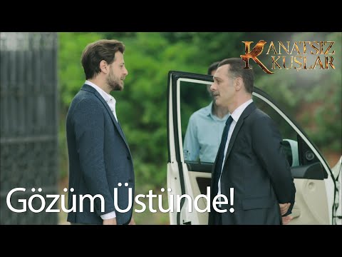 Gözüm üstünde Onur! - Kanatsız Kuşlar 6. Bölüm