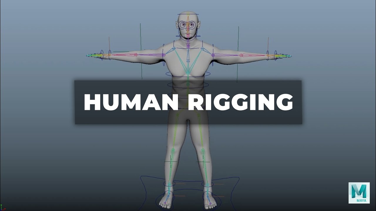 Human Rigging Showreel 2023 - Tapan Sharma - YouTube