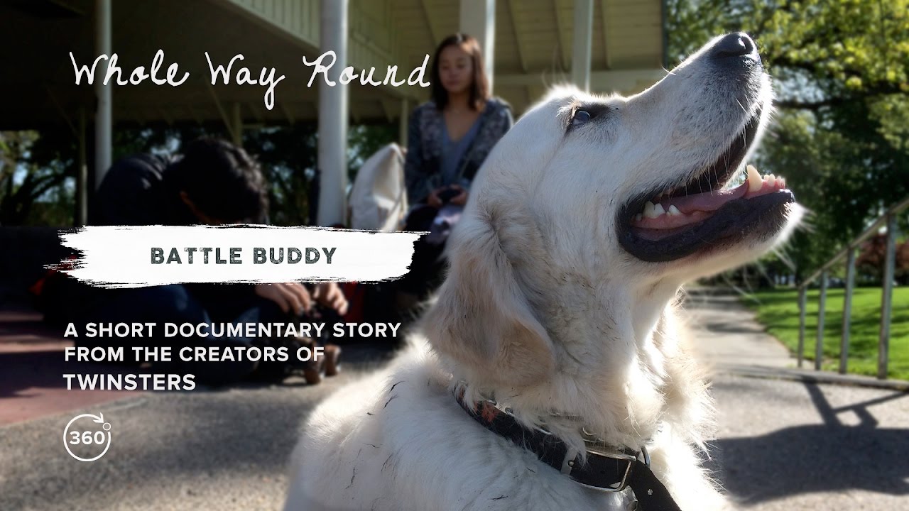BATTLE BUDDY - RIVER THE SERVICE DOG - YouTube