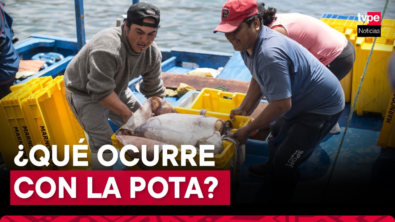¿Por qué incrementó el precio de la pota en Perú? - YouTube