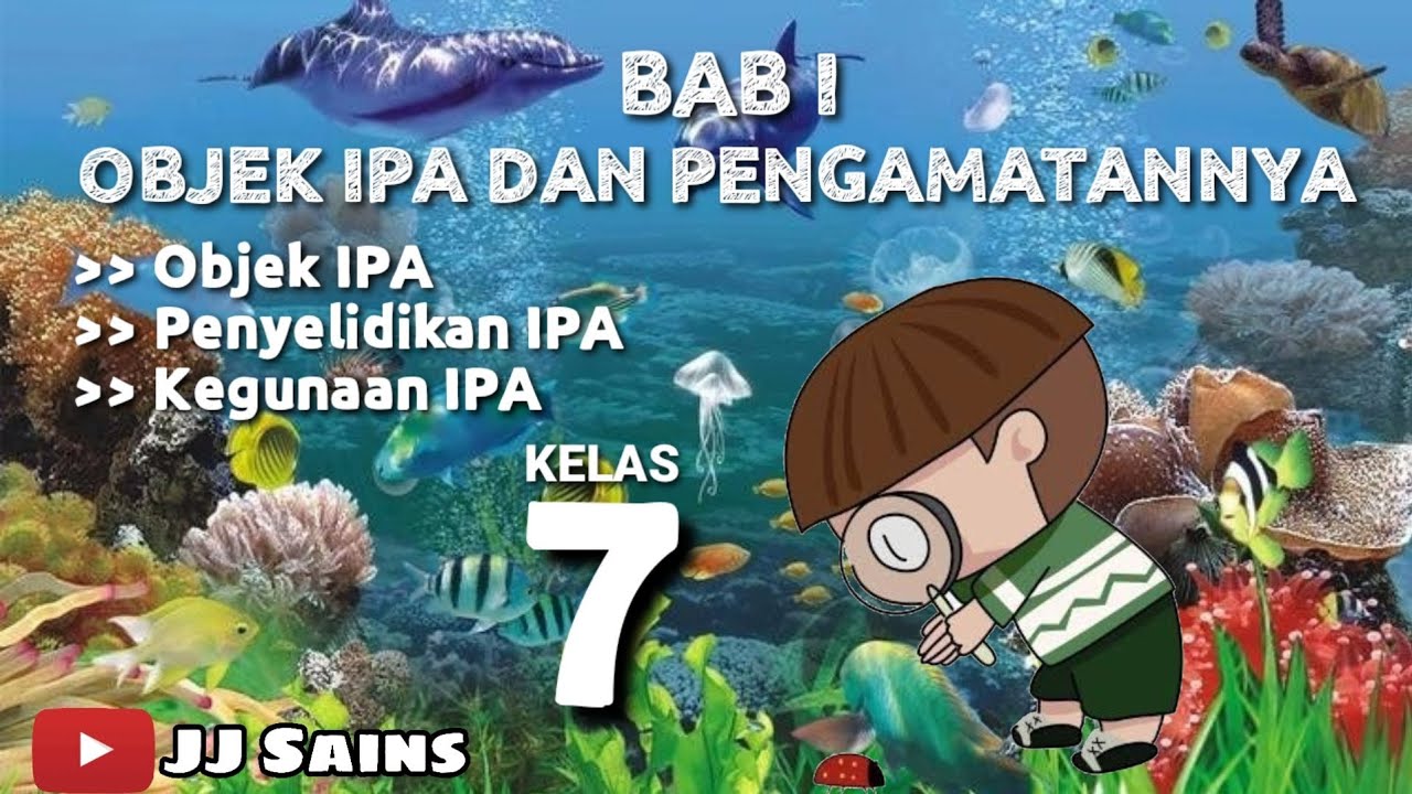 Objek IPA dan Pengamatannya SMP Kelas 7 |Penyelidikan IPA - YouTube