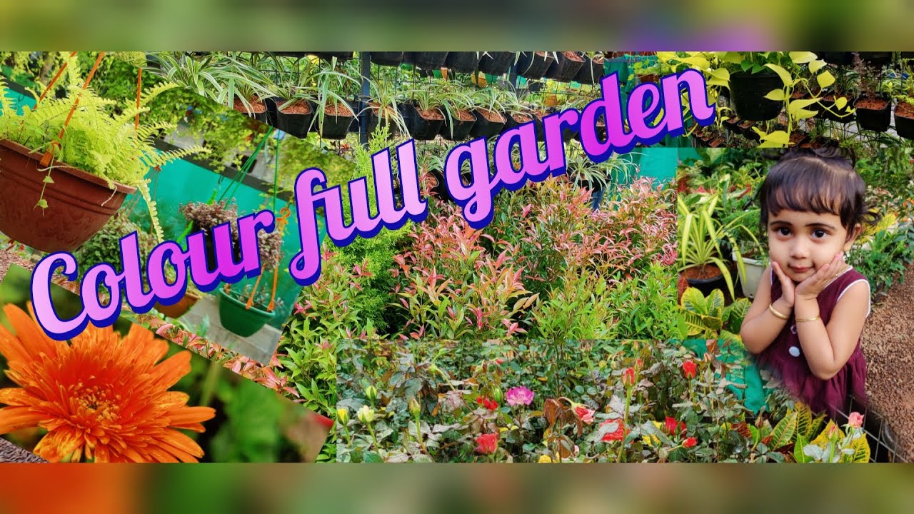 Garden view and colourfull flowers 🥰//kizva world//Rafi fasna - YouTube