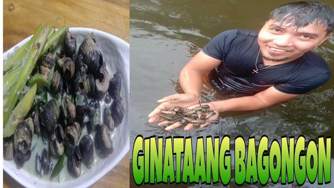 FULL DOCUMENTARY|GINATAANG BAGONGON|HORN SNAIL WITH COCONUT MILK RECIPE ...