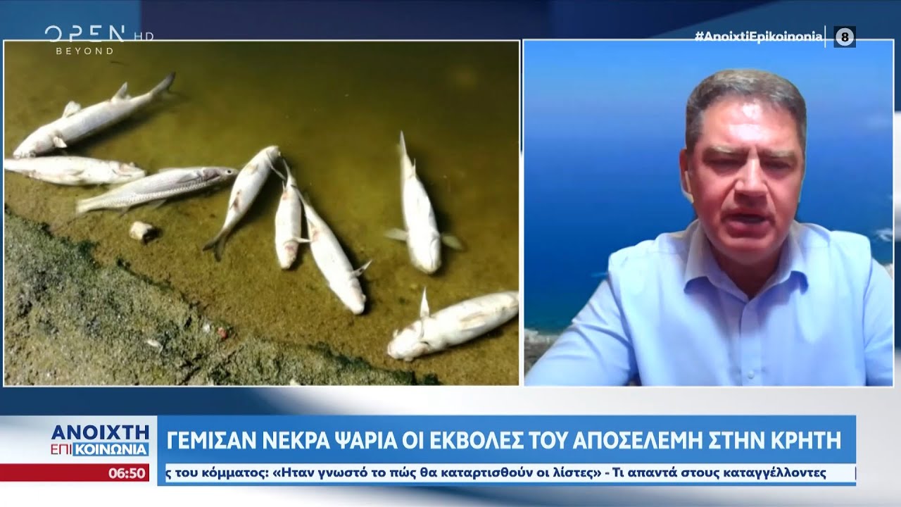 Γέμισαν νεκρά ψάρια οι εκβολές του Αποσελέμη στην Κρήτη - Τι λέει ο ...