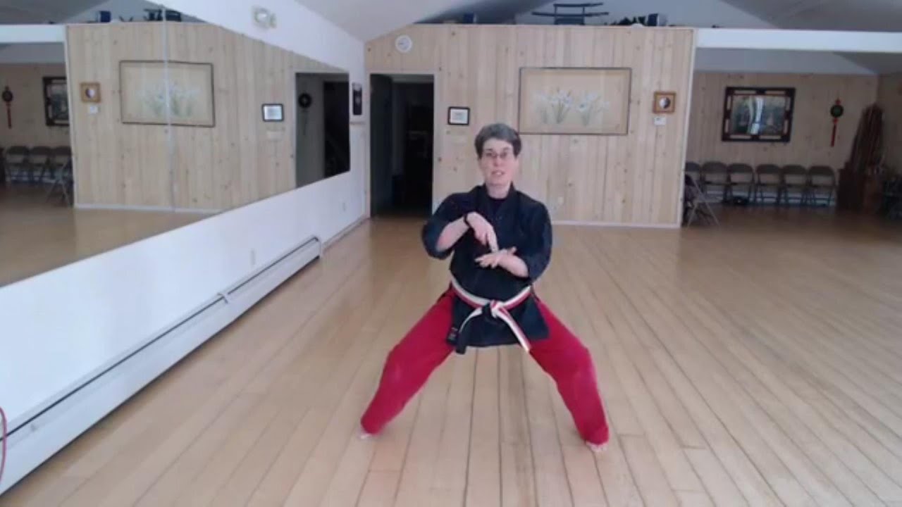 SNOW DAY KARATE CLASS 2-6-2020 - YouTube