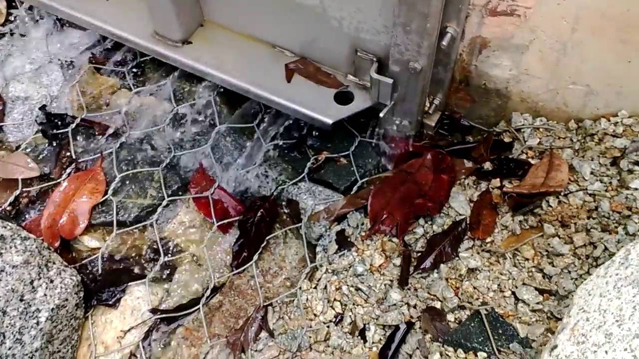 Tyersall shrimp at sluice gate - YouTube