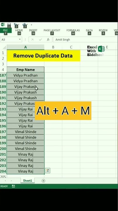 Remove Duplicate Data Using Shortcut Key In Excel | Excel Tips And