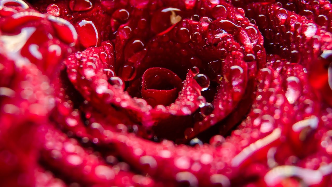 빨강 / RED / merah / สีแดง / màu đỏ / rosso / rojo - YouTube