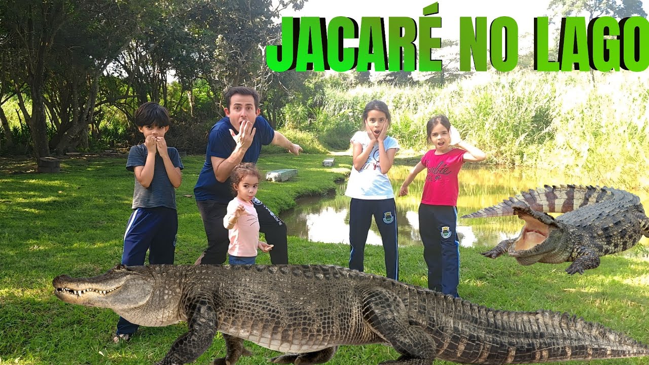 JACARÉ NO LAGO 🐊| SUPER IRMÃOS KIDS - YouTube