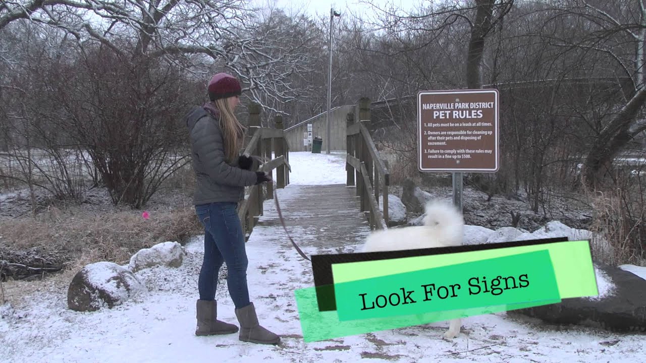 how to video haley champion and tricia leary - YouTube