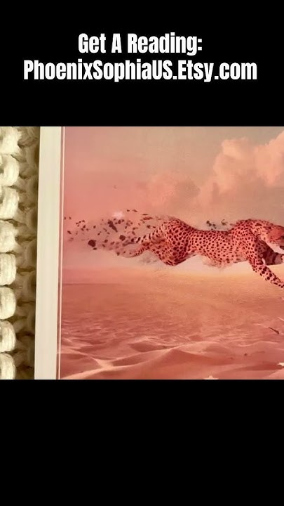 Message For 7 18 24 Oraclereading Oraclemessages Oraclemessageoftheday Summertime Youtube