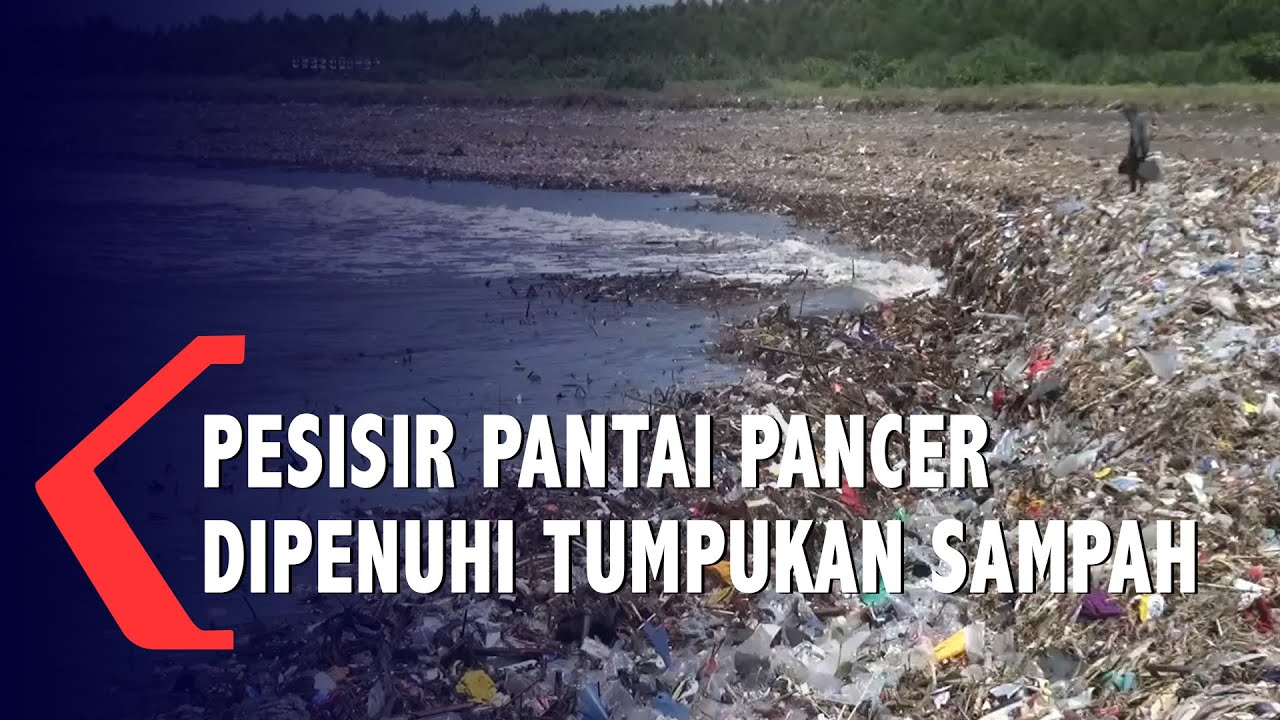 Pesisir Pantai Pancer Penuh Sampah - YouTube