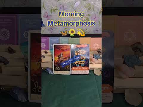 🌅Daily Morning Metamorphosis: 🦋 Trusting in Synchronicities - YouTube