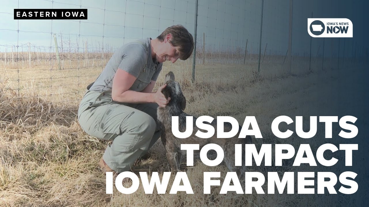 Iowa farmers reeling from sudden $11 million USDA program ax - YouTube