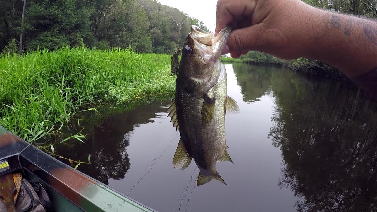 Lumber River Rec Access - YouTube