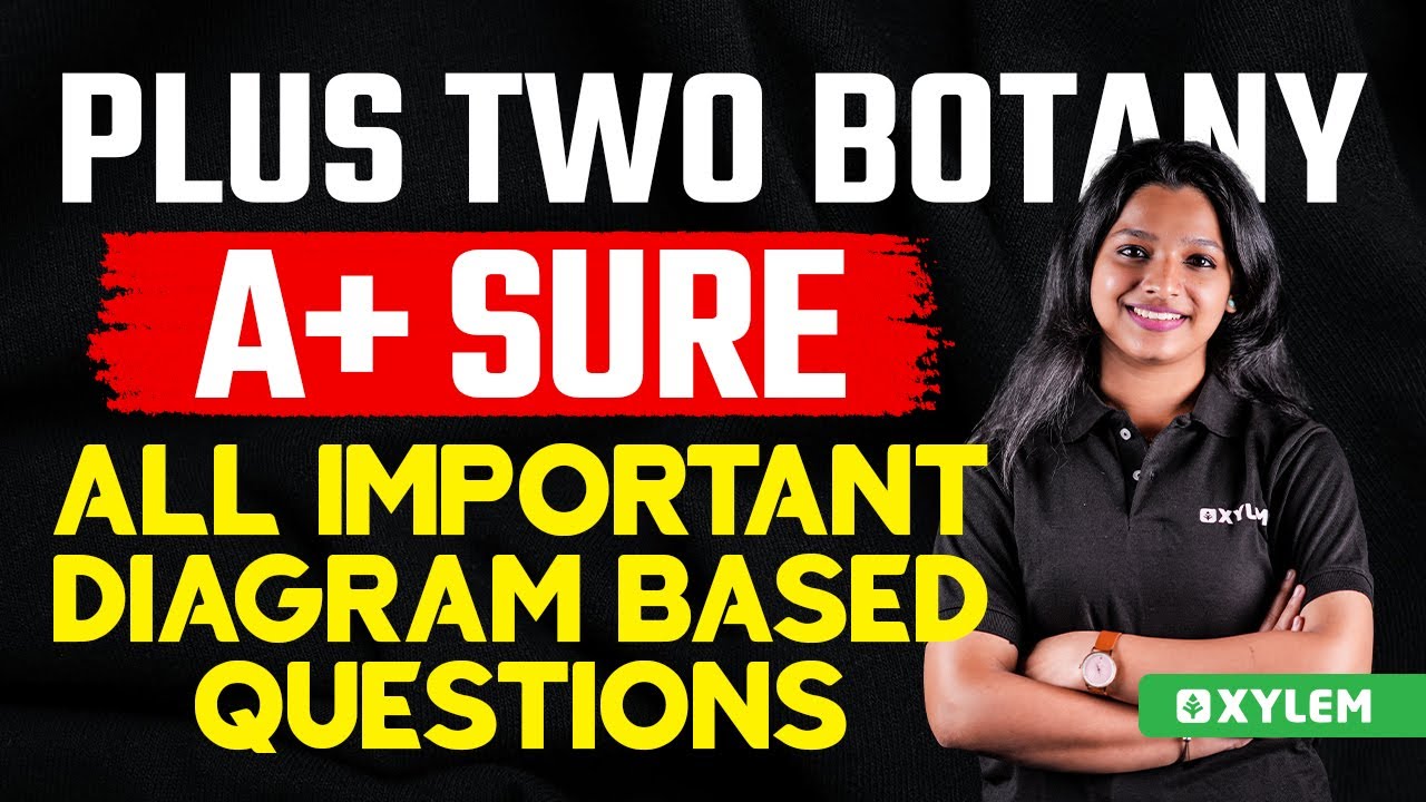 Plus Two Botany - A+ Sure - All Important Diagram based Questions ...