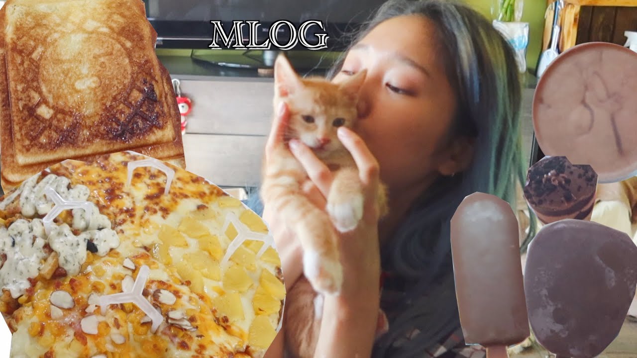 밈pd Vlog Mlog 리얼한 미현이의 세상22조용해진 외장하드와 내가 만나 입터진 불만덩어리 사춘기를 만날 준비가 되셨습니까feat미옹 Youtube