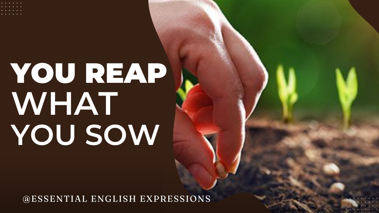 YOU REAP WHAT YOU SOW | Essential English Expressions - YouTube
