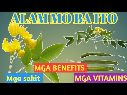 Balatong Aso Benefits | HALAMAN Gamot - YouTube