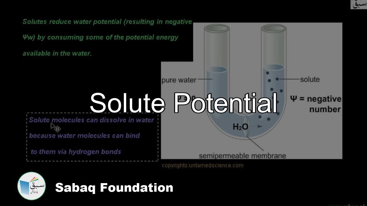 Solute Potential Biology Lecture Sabaq pk YouTube solute-potential-biology-lecture-sabaq-pk-youtube