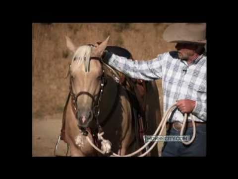Creating a Supple Horse Part 1 - YouTube