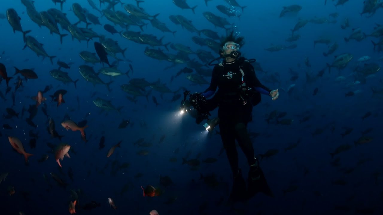 Ocean Insights: Meet Sylvia Earle - YouTube
