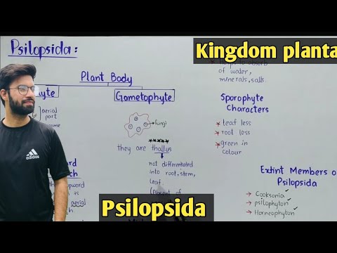 Psilopsida Characteristics In Urdu Hindi | Life Cycle - YouTube