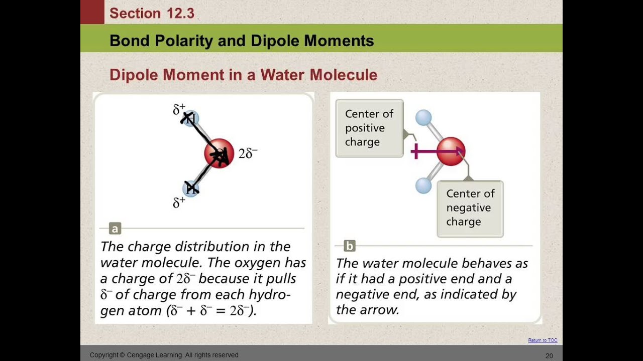 10 12.3 Bond Polarity and Dipole Moments - YouTube