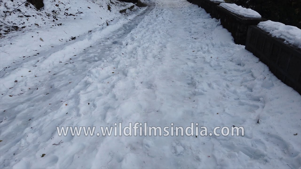 Walking down a snow-covered road in Landour - YouTube