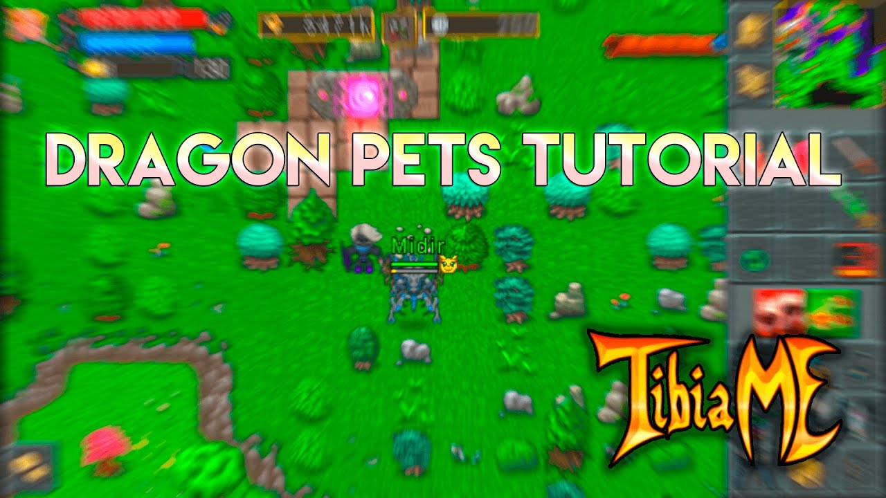 TibiaME - How To Get EVERY Dragon Pet | Dragon Rutting - YouTube