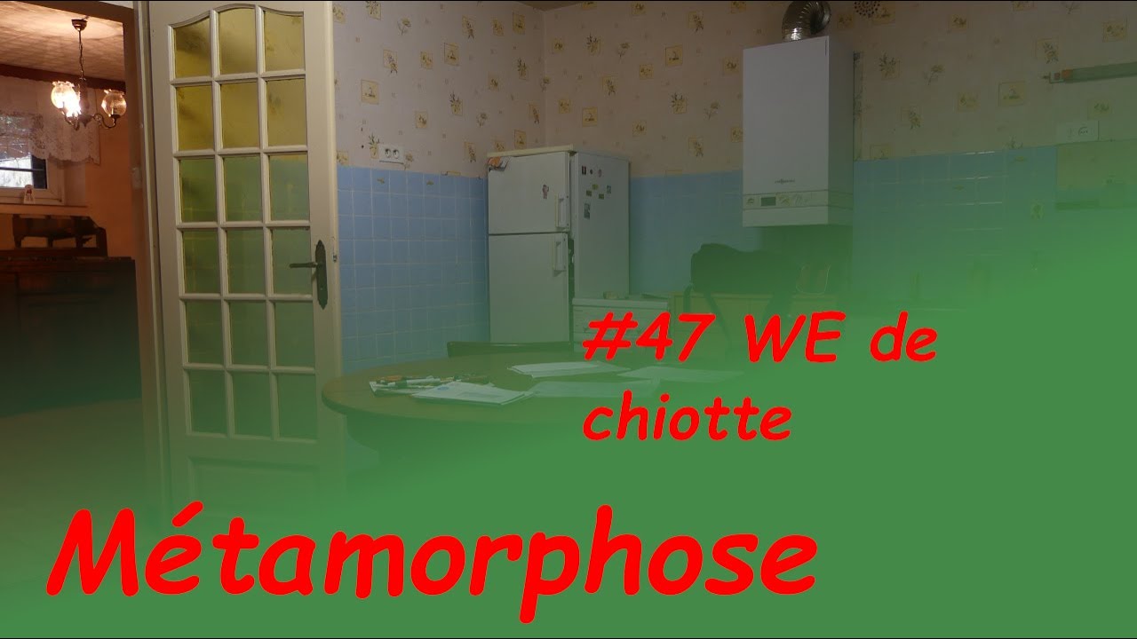 Métamorphose #47 (23 Juillet 2023) WE de chiotte - YouTube