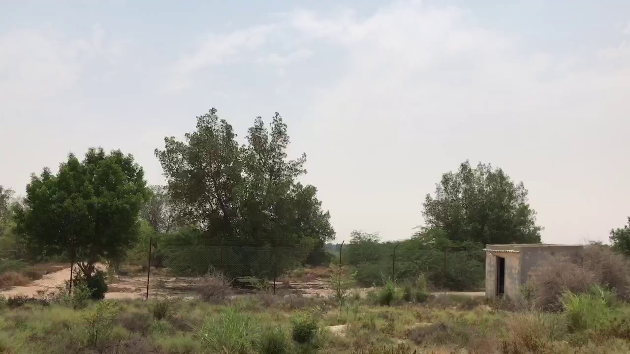 farm in Qatar| best place to visit in qatar | wild animals - YouTube