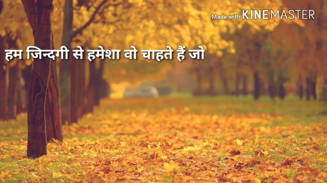 Nice status - YouTube