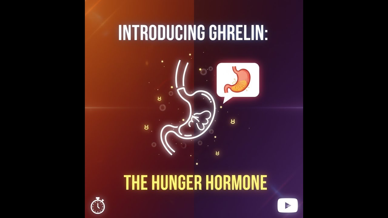 INTRODUCING GHRELIN: THE HUNGER HORMONE - YouTube