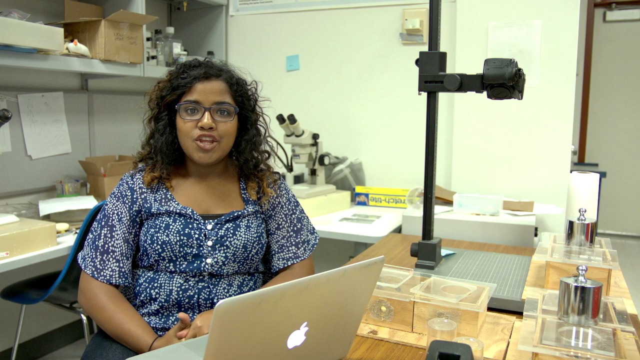 ABC Tracker - Composition - YouTube