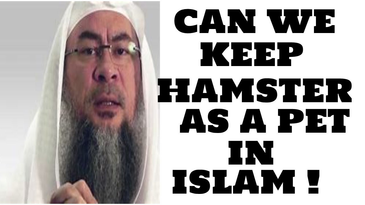 Can we keep hamster as a pet in Islam Assim al hakeem - YouTube