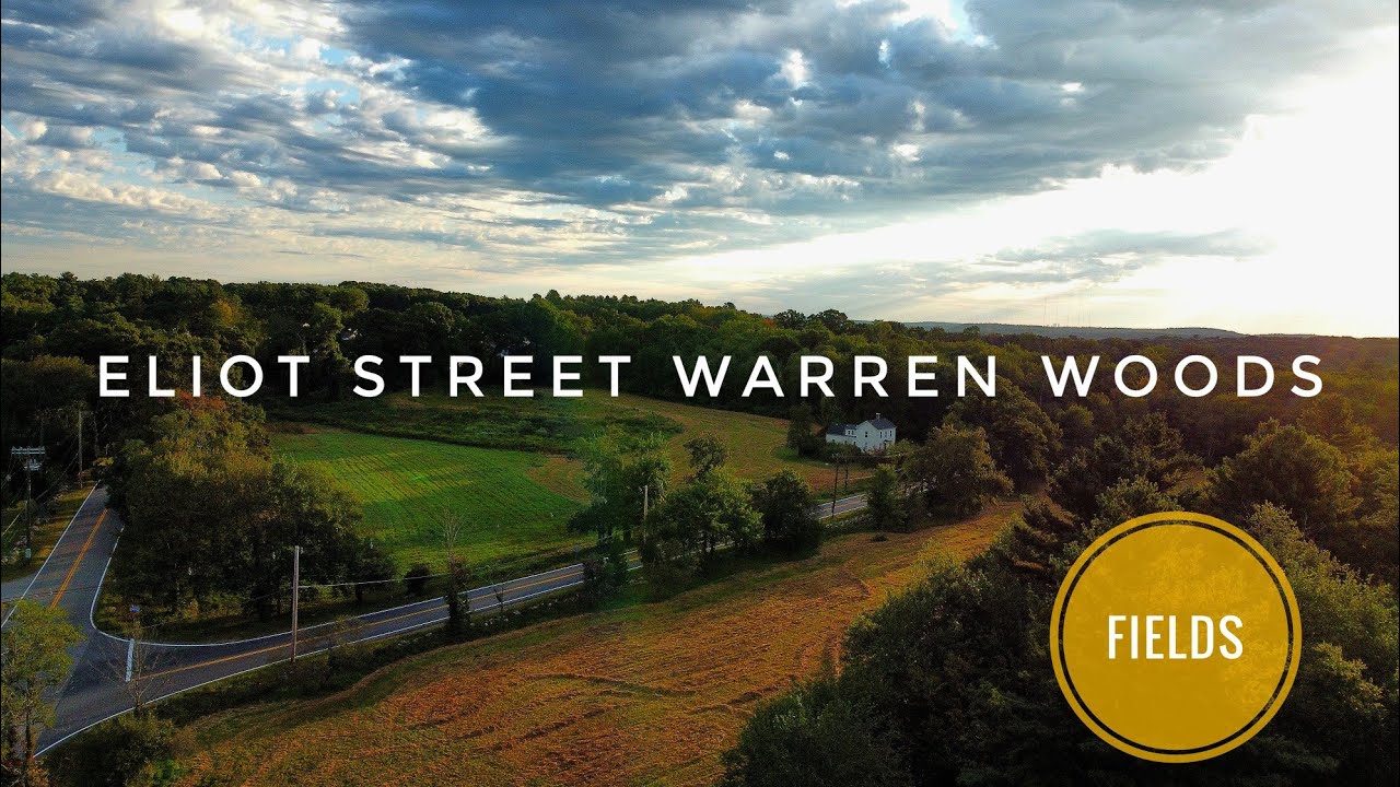 Eliot Street & Warren Woods 4K - YouTube