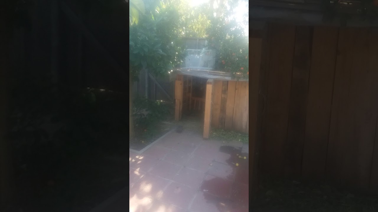 Screaming Birth! Ouch! - YouTube