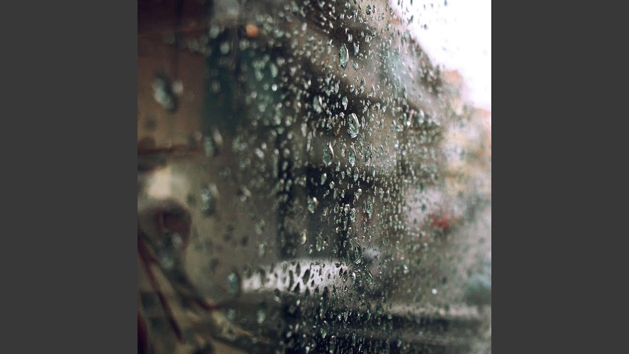 Wild Rain: Experience the Untamed Fury of Nature's Downpour - YouTube