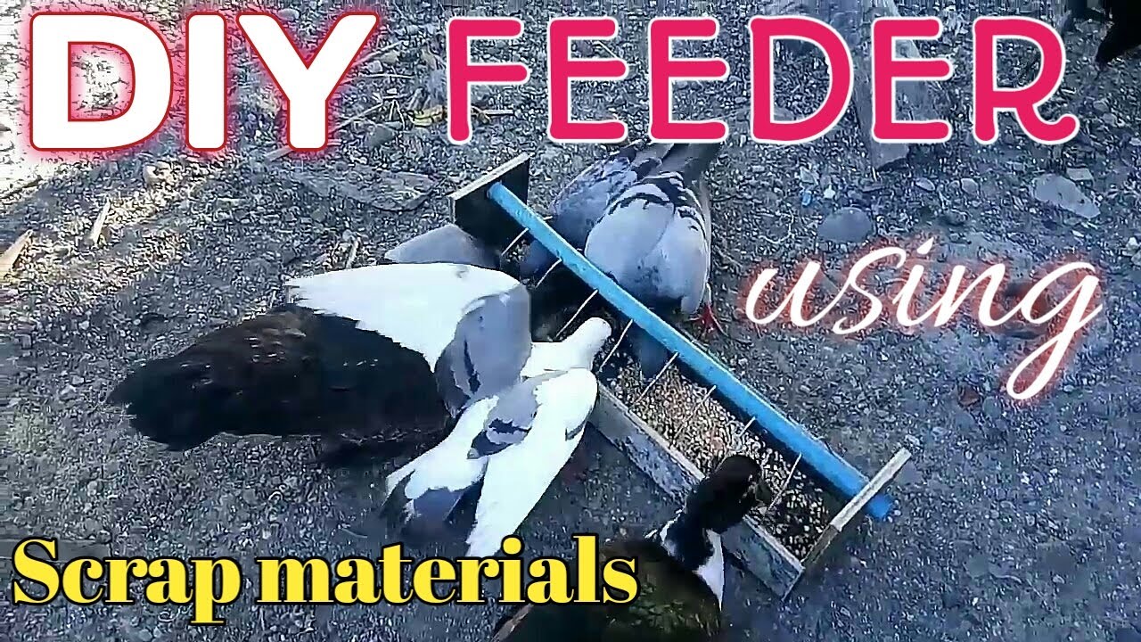 DIY feeder para sa alagang manok at kalapati gamit ang scrap materials ...