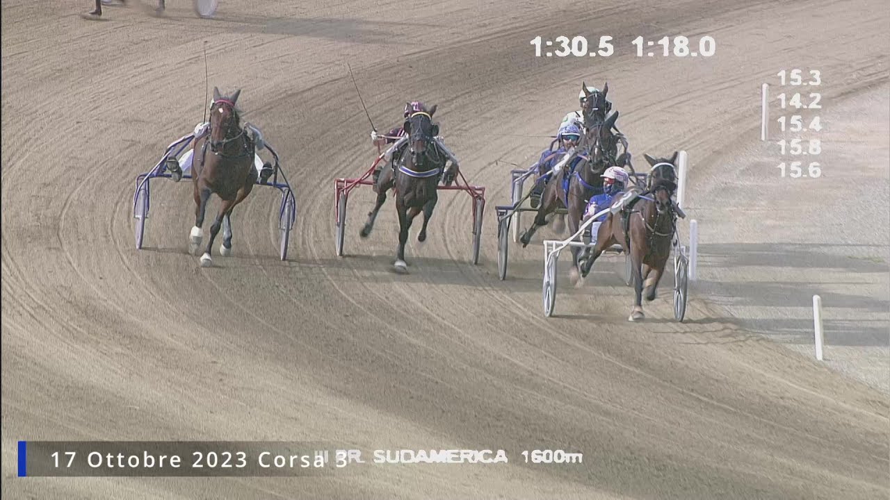 Corse di Trotto del 17 Ottobre 2023 - YouTube