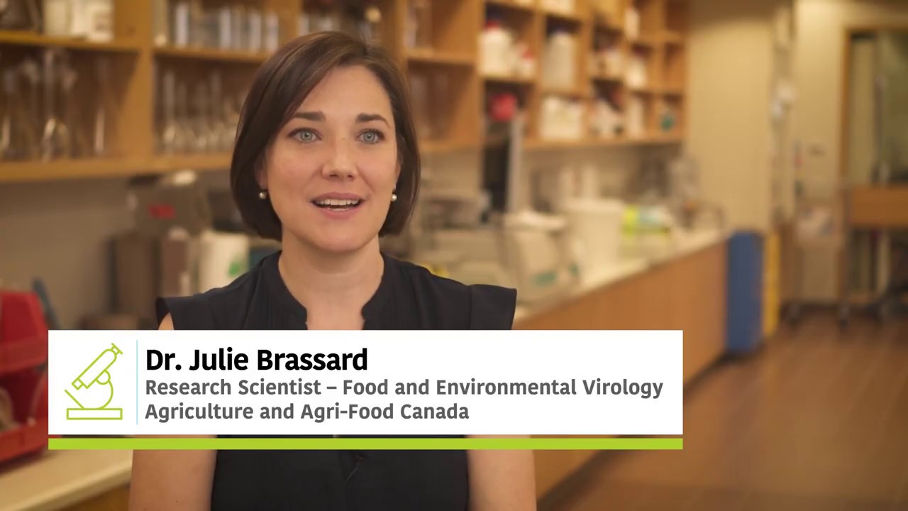 Working with the Invisible: Food Safety with Dr. Julie Brassard - YouTube