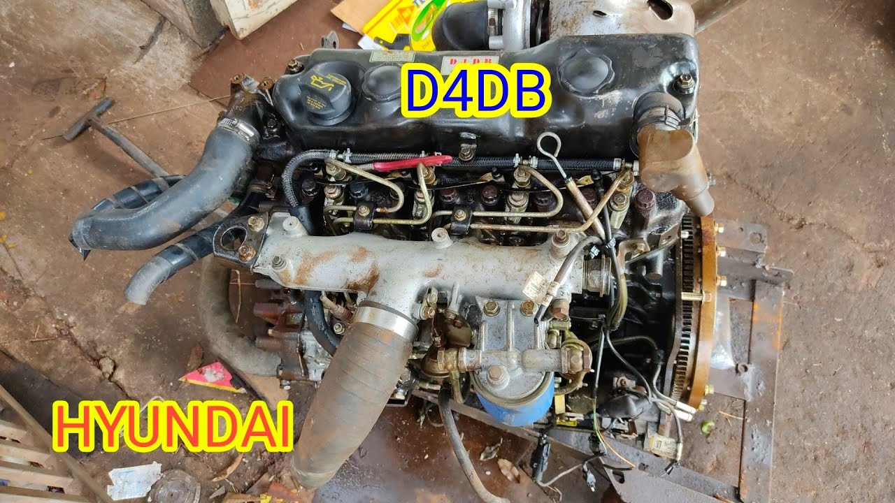 HYUNDAI/D4DB mới nhập về - YouTube