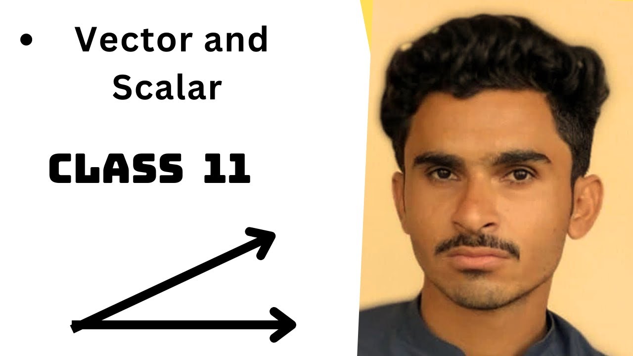 Introduction of Vector/ Vector and Scalar - YouTube