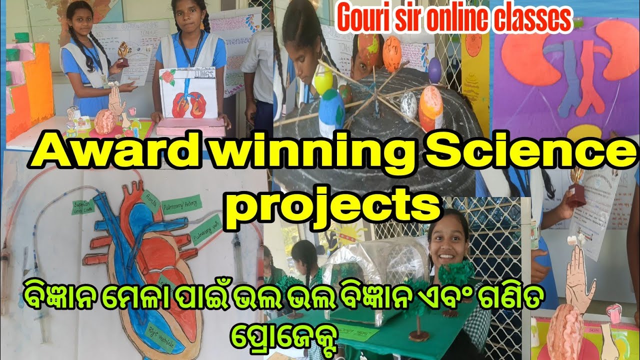 Award winning science project //Science project for exhibition //# ...