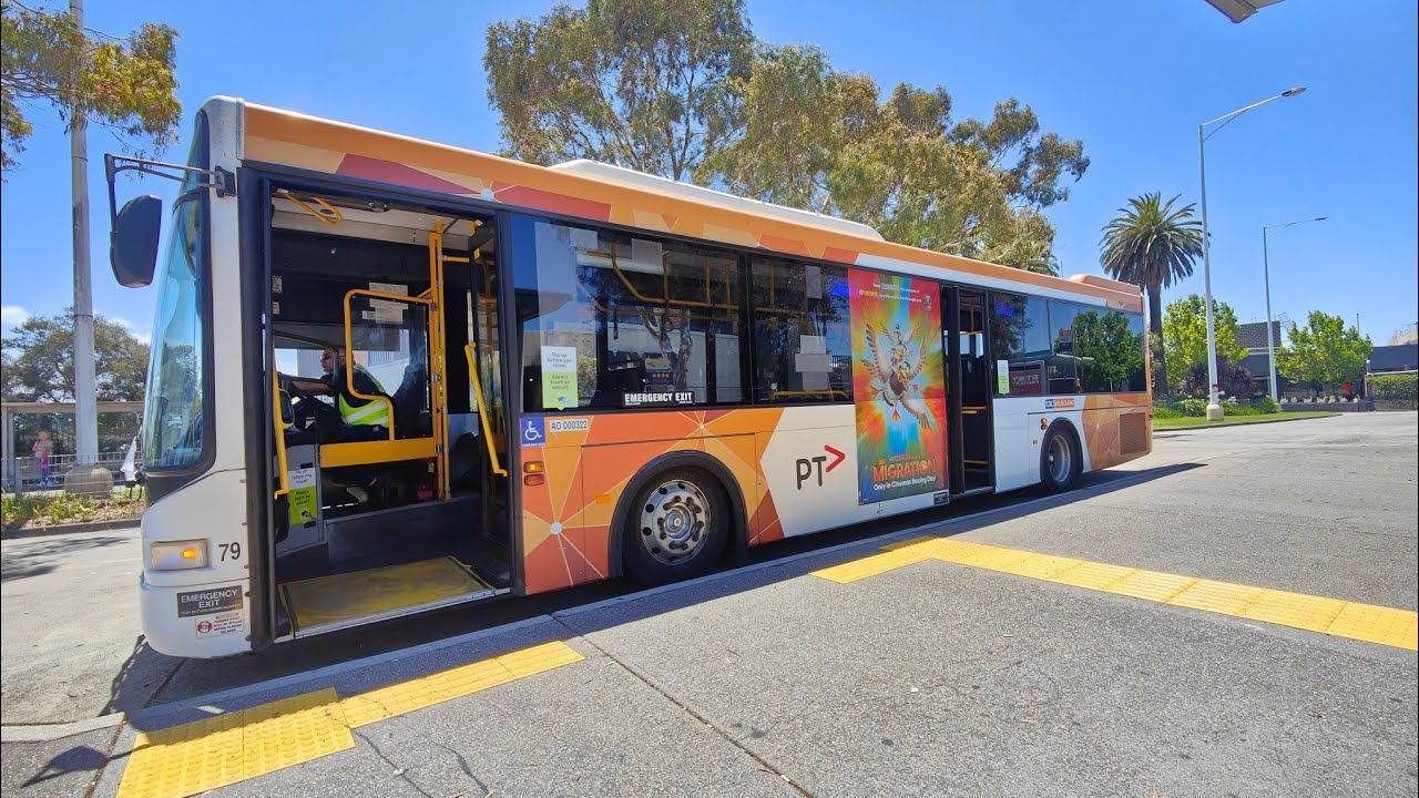 PTV Buses at Highpoint Station💫 | HSC Maribyrnong | PTV Buses - YouTube