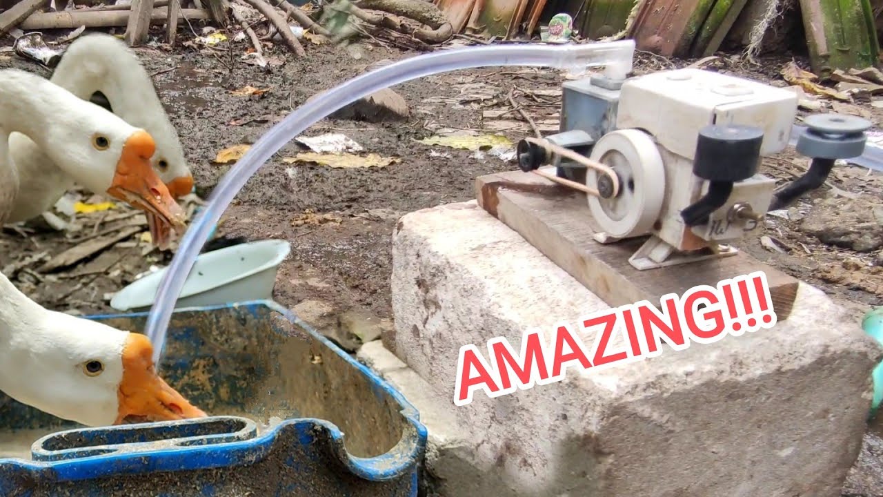 diy miniatur mesin diesel mini kasih air minum angsa || diesel engine ...