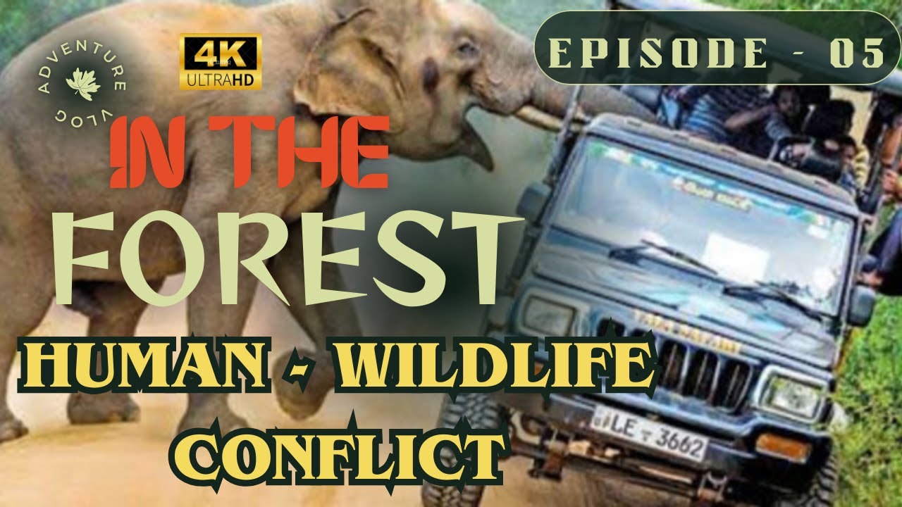 Man vs Wild: The Unseen Conflict | Human Wildlife Conflict | IN THE ...