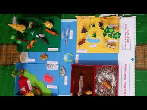Natural Environment (Project Model)(Std-1st) - YouTube