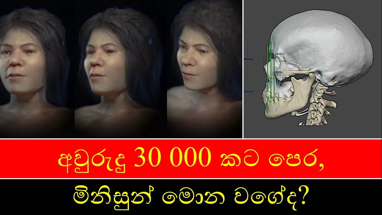 How do Human look 30 000 years back? - YouTube